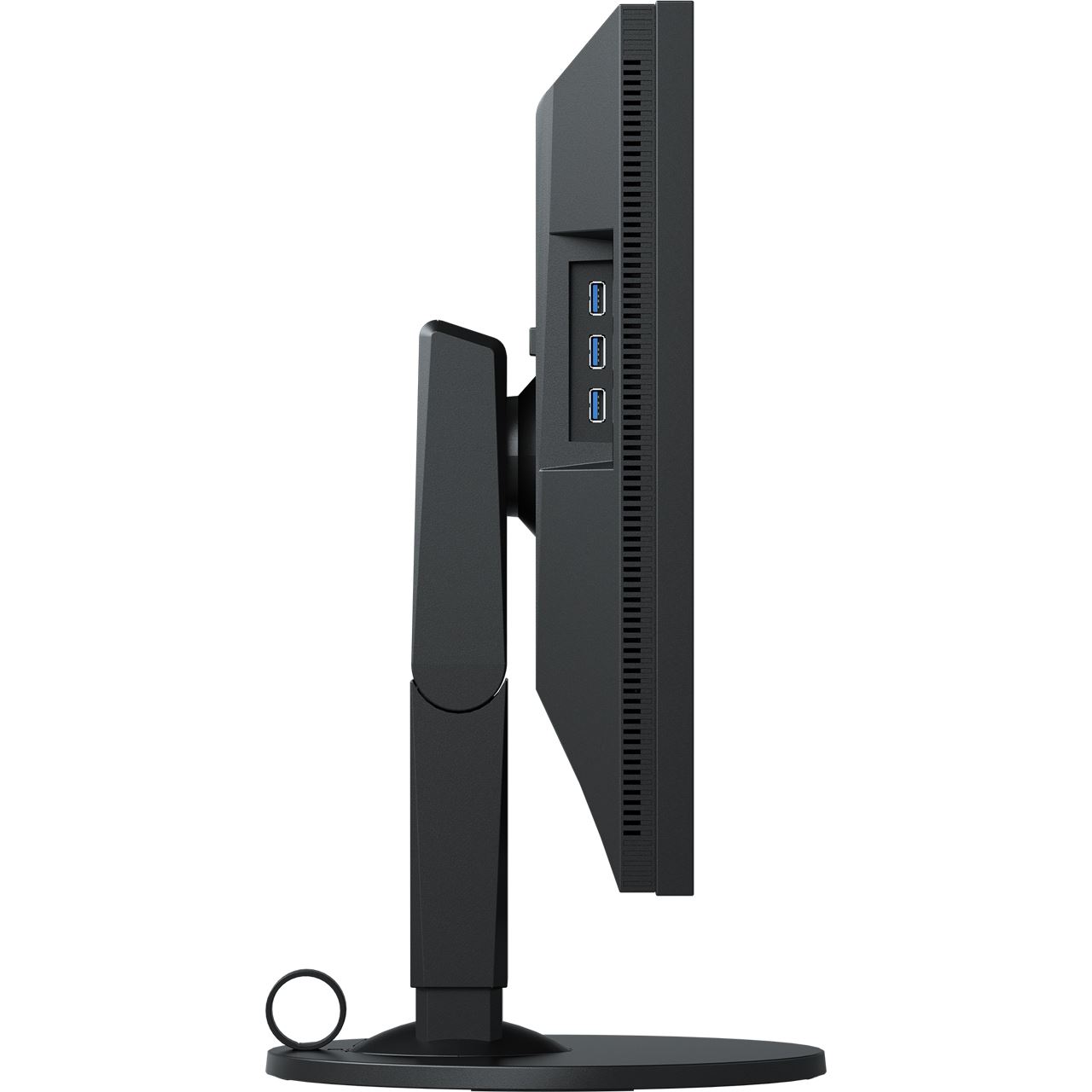 24" (60,96cm) EIZO ColorEdge CS2420 schwarz 1920x1200 1xDisplayPort ...