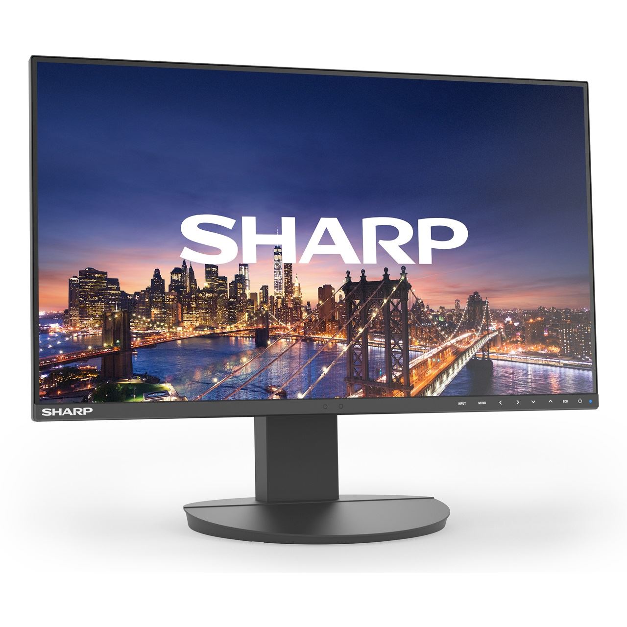 24" (60,96cm) Sharp NEC MultiSync EA242F schwarz 1920x1080 1xDisplayPort / 1xHDMI - Monitore